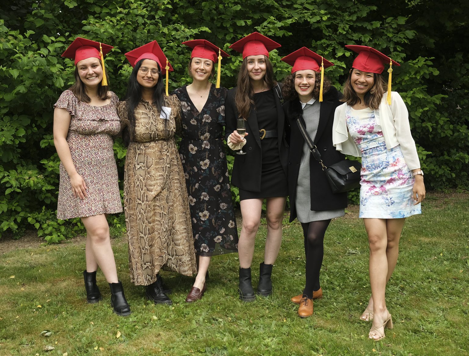 About PREMIUM – EDLAB